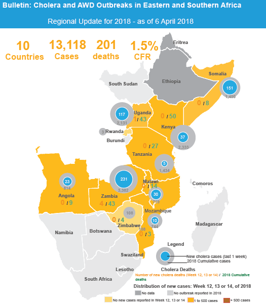 Cholera and AWD outbreak bulletin in Eastern and Southern Africa, as of ...